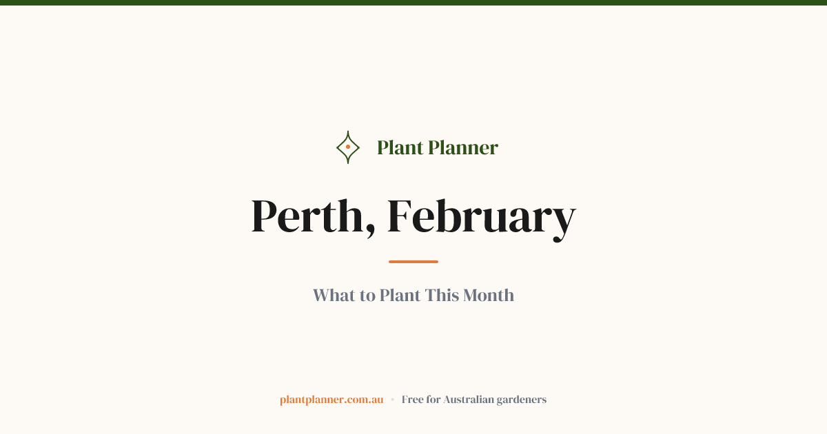 What to Plant in Perth in February | February Planting Guide | Plant ...